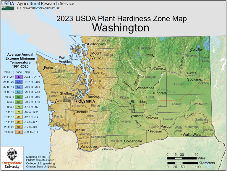Plant Hardiness Zones for Washington State