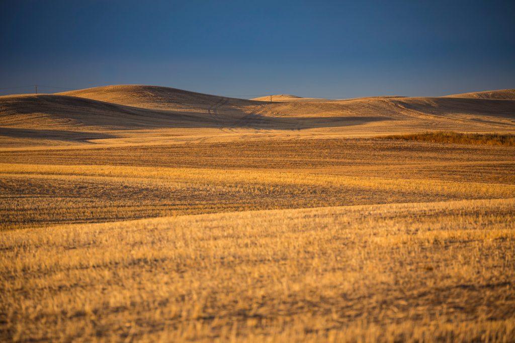 Washington State Climate Office